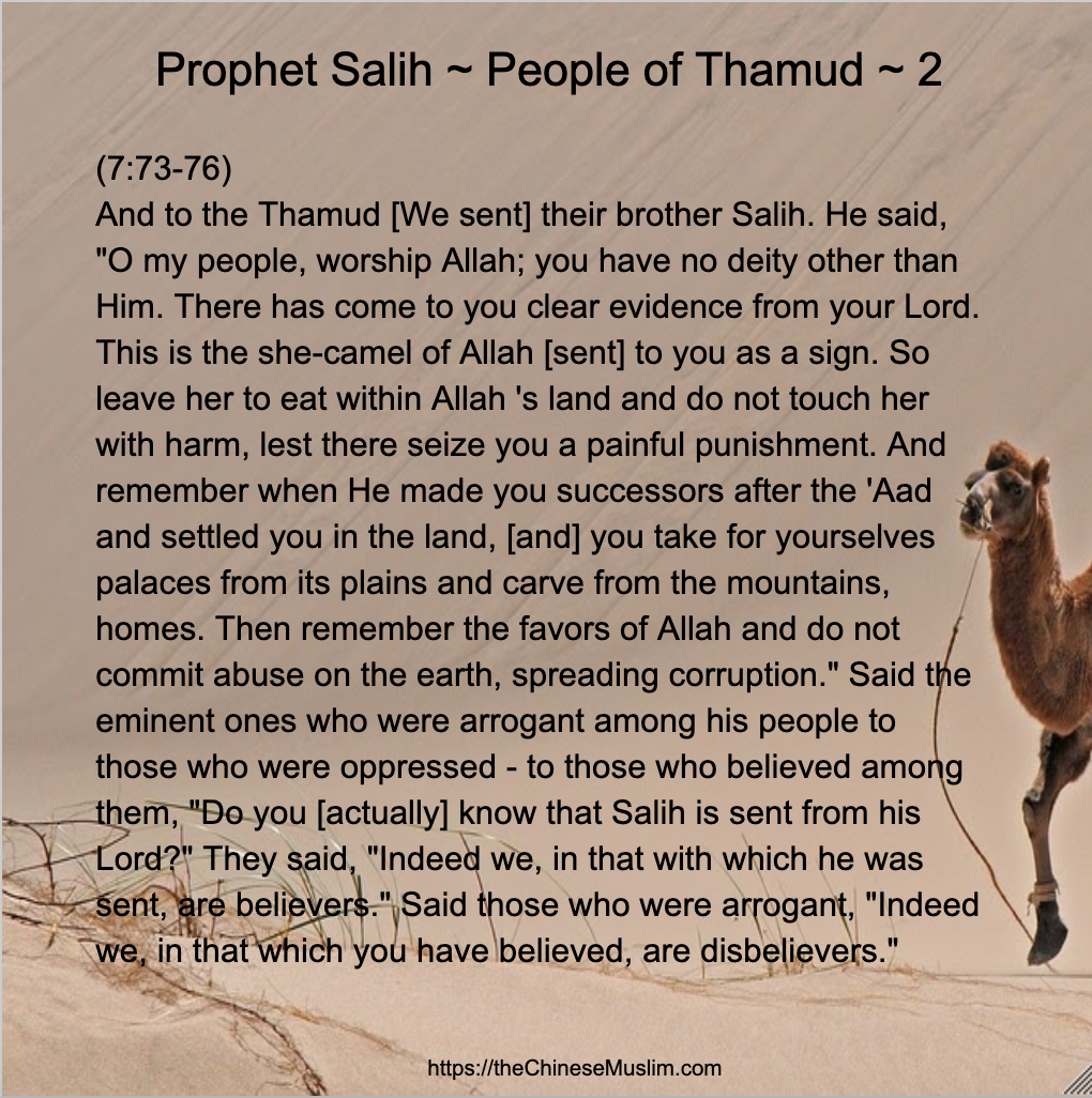 Prophet Salih – People of Thamud – The Chinese Muslim